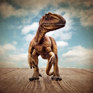 Allosaurus Dinosaur Photo Print, Boys Room Decor - Etsy