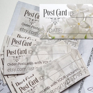 Custom Postcard ID Stickers, Postcard Stickers for Mailers or ...