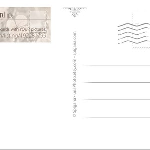 Custom Postcard ID Stickers, Postcard Stickers for Mailers or ...