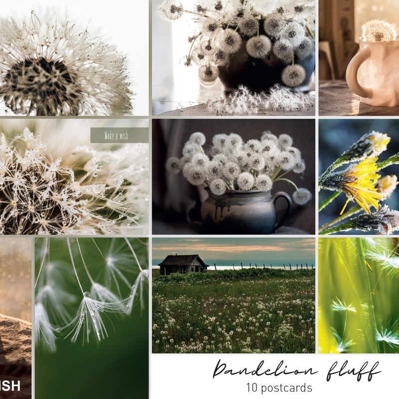 Dandelion Fluff - Etsy