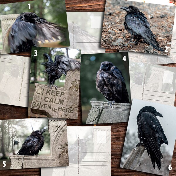 Raven on Gravestone - Etsy