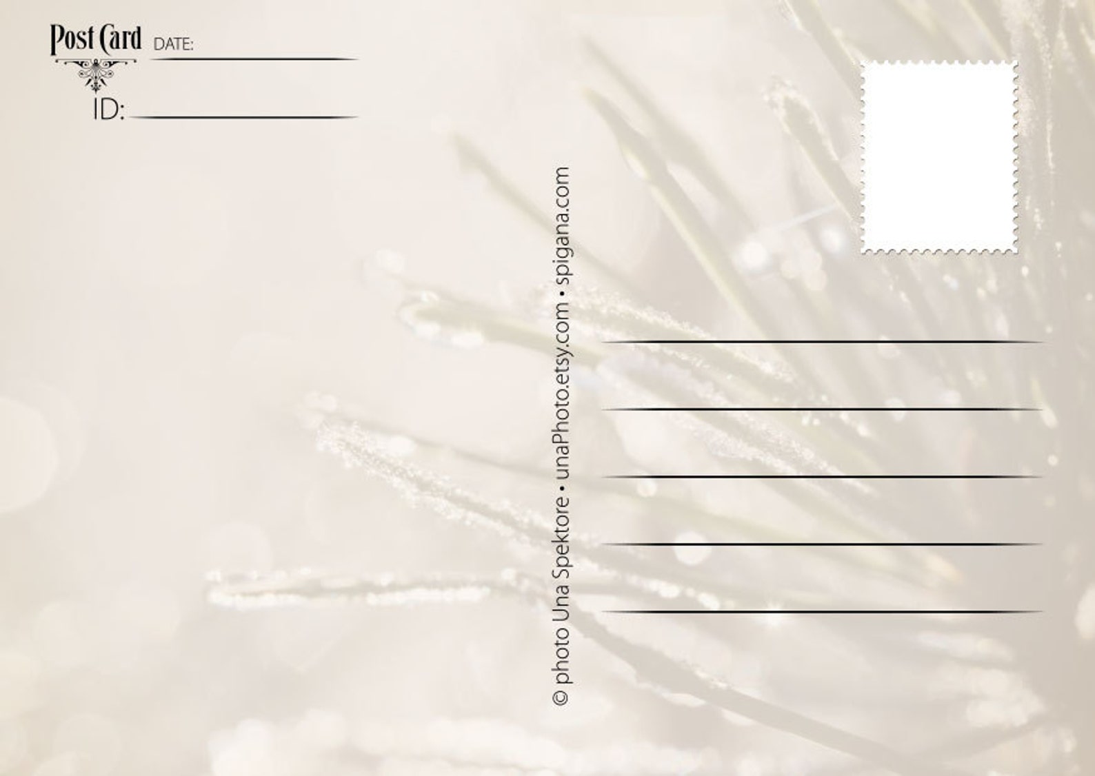 Needles postcards. Winter fir-tree postcards for Postcrossing | Etsy