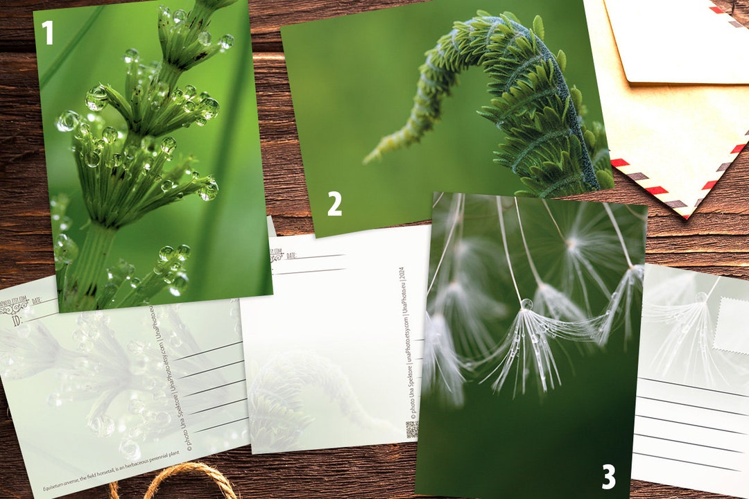 Green Postcards Set. Botanical Plants Art Photo for Snail Mail and ...