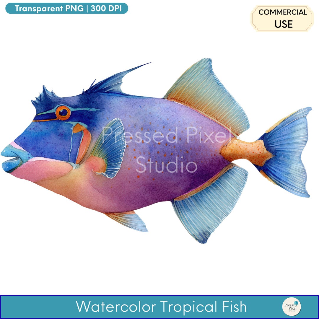 Tropical Fish Clipart, PNG | Triggerfish Watercolor, Scrapbooking ...