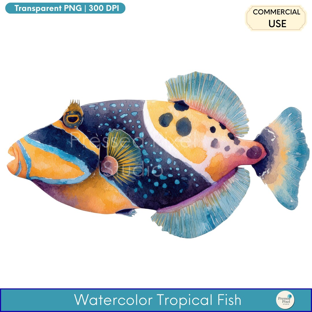 Tropical Fish Clipart | Watercolor Picasso Triggerfish PNG, Ocean Art ...