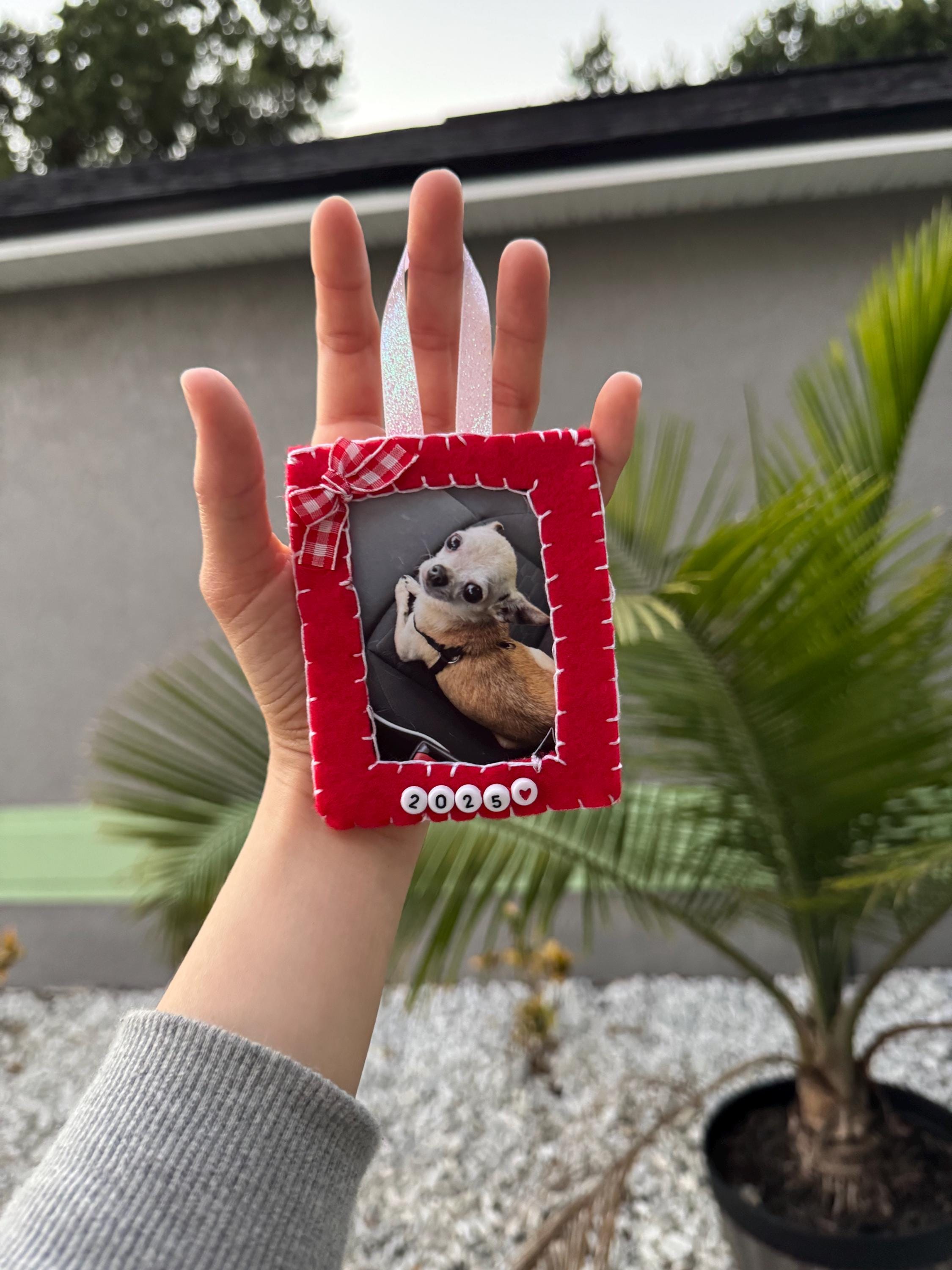 Handmade Felt Photo Ornament | Personalized Picture Frame, 2x3 Wallet ...