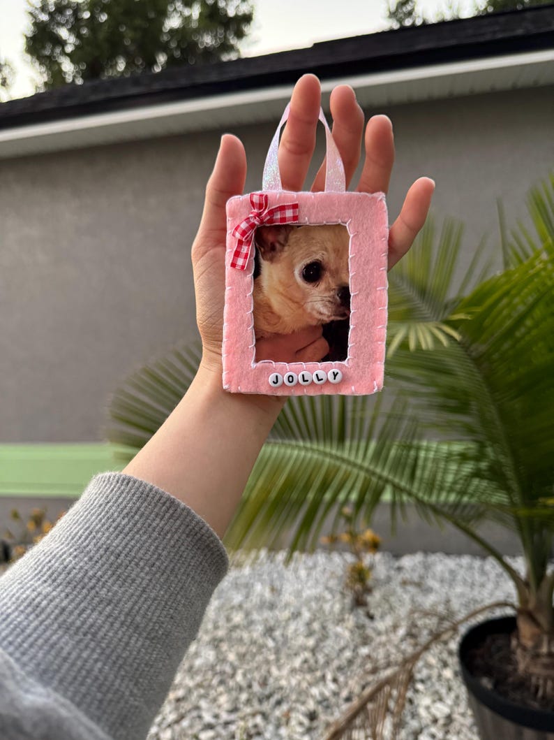 Handmade Felt Photo Ornament | Personalized Picture Frame, 2x3 Wallet ...