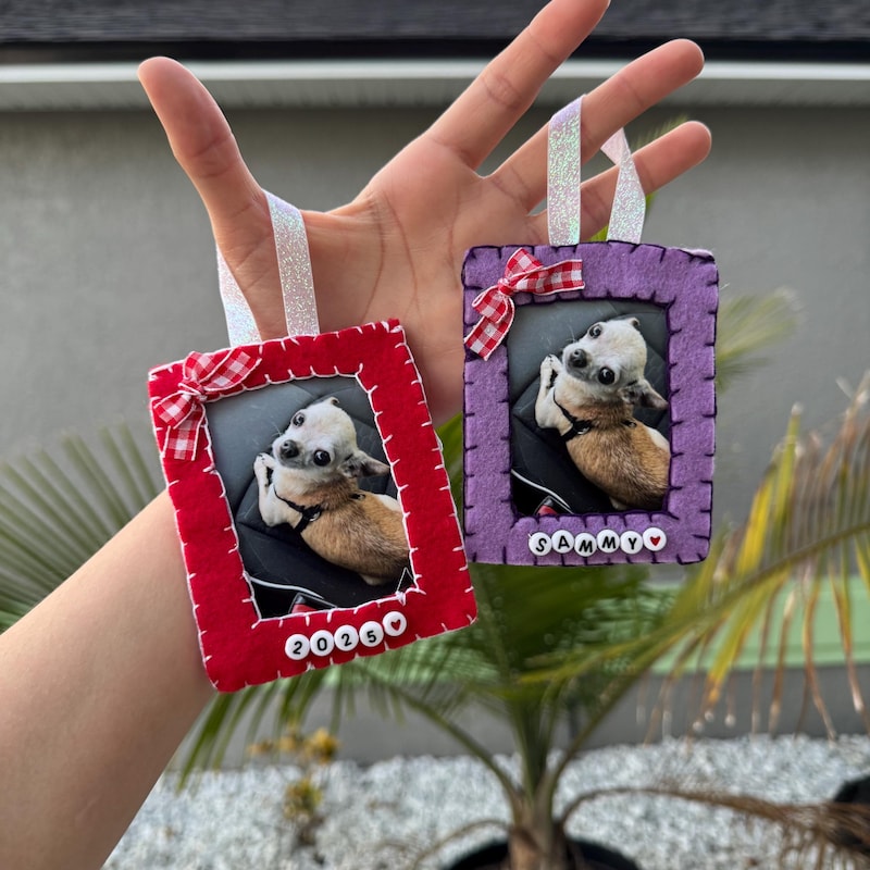 Felt Frame Photo - Etsy