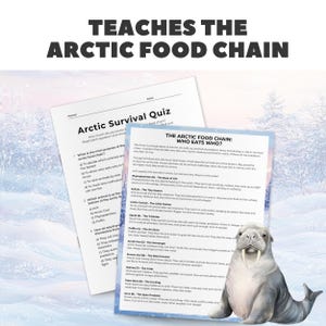 Arctic Food Chain Card Game, Printable Learning & Educational Arctic ...