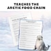 Arctic Food Chain Card Game, Printable Learning & Educational Arctic ...