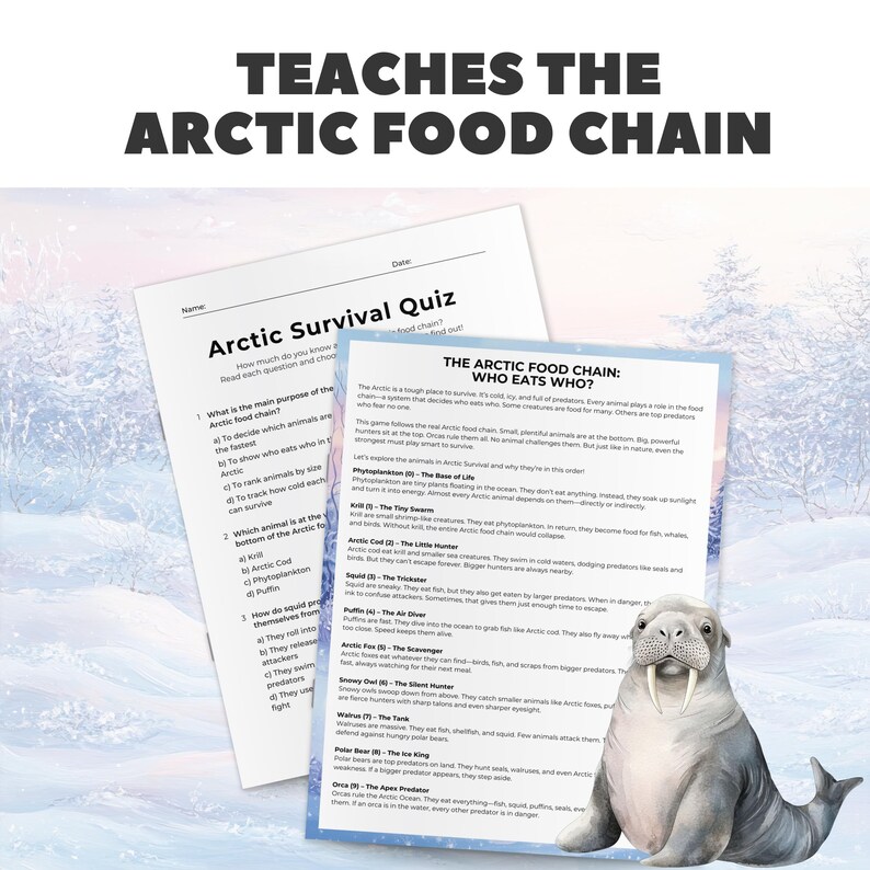 Arctic Food Chain Card Game, Printable Learning & Educational Arctic ...