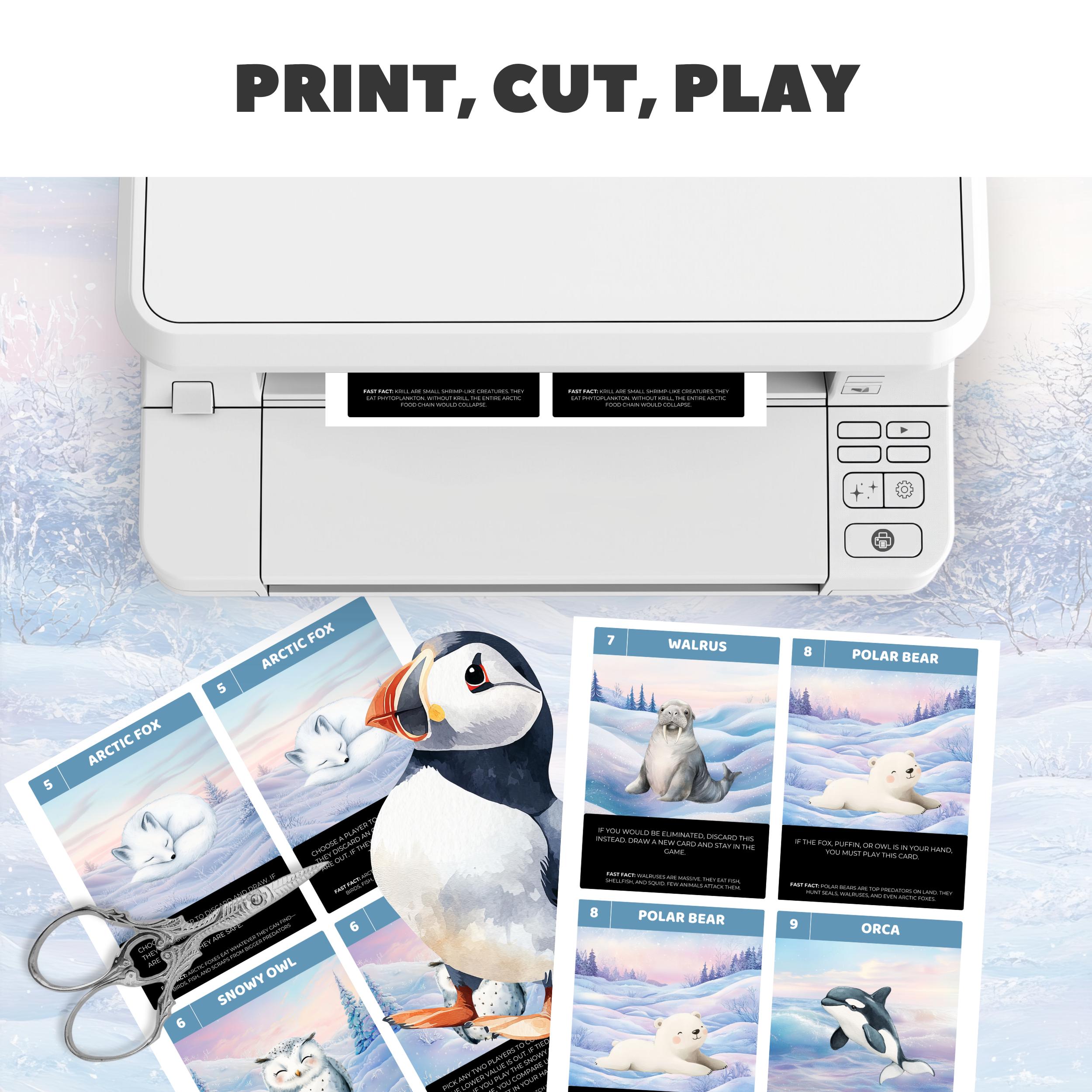 Arctic Food Chain Card Game, Printable Learning & Educational Arctic ...