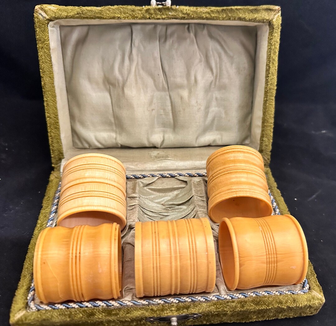 Set of 5 Vintage Celluloid Napkin Rings in Original Case 0ne is Cracked ...