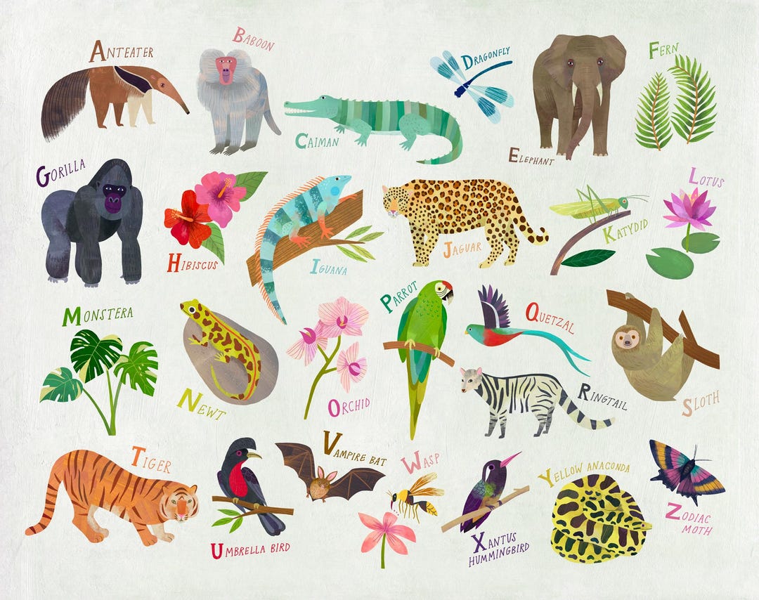 Jungle Animals Alphabet Art Print: Educational Nursery Decor - Etsy