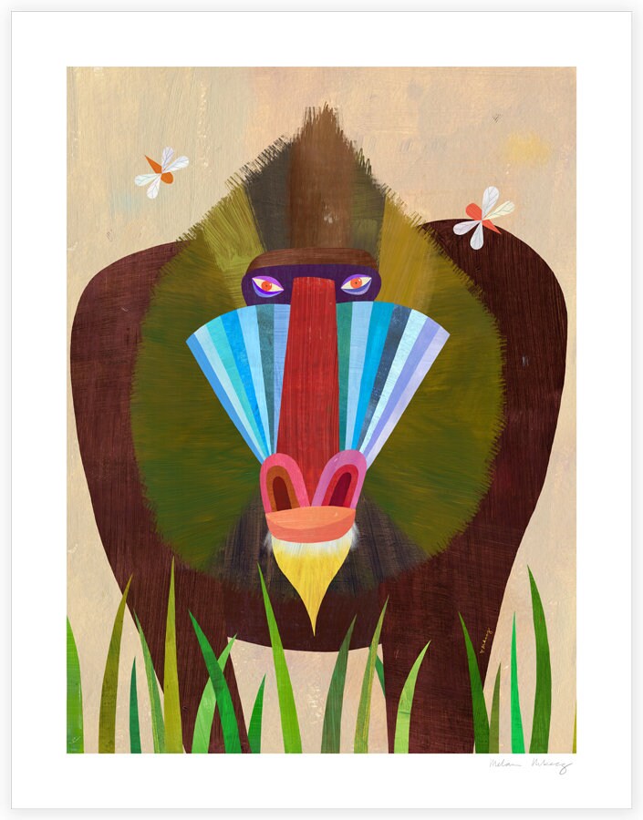Mandrill | Animal Art Print, Safari Themed Illustration for Kids Room ...