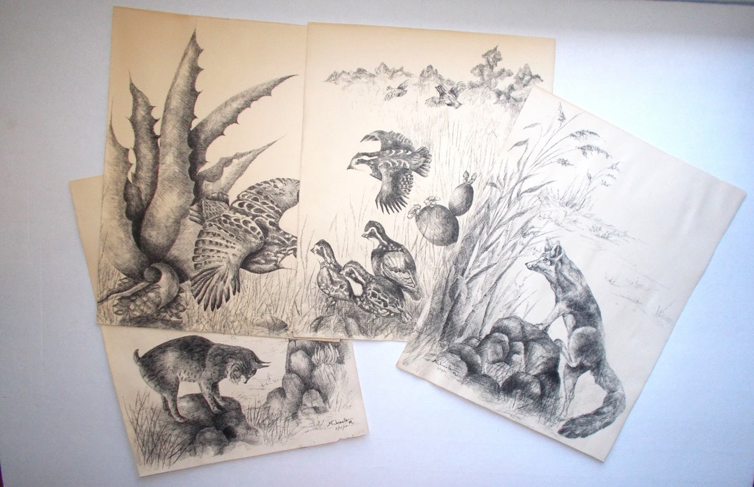 Vintage 1960s Original Mexican Art-pen & Ink-signed M Chinella-chih ...