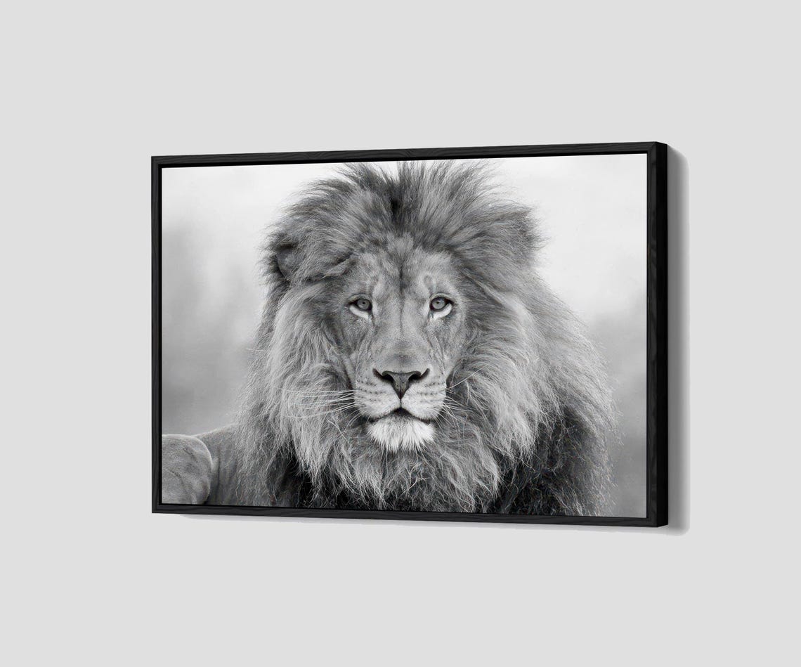 Blue Eyed Lion Poster King of Animals Canvas Lion Wall Art Outdoor ...