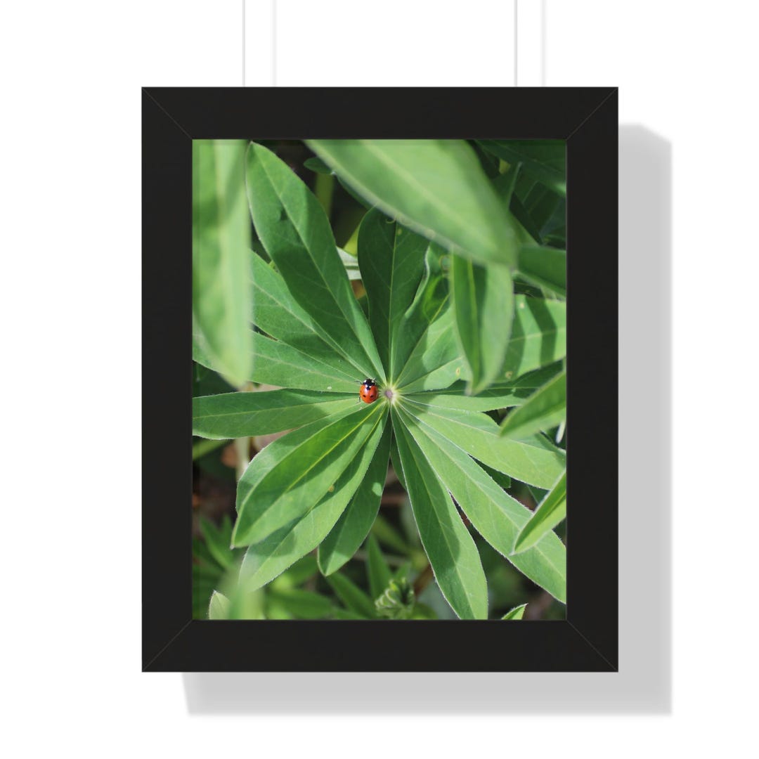 Ladybug Framed Vertical Poster for Home Decor, Botanical Wall Art ...