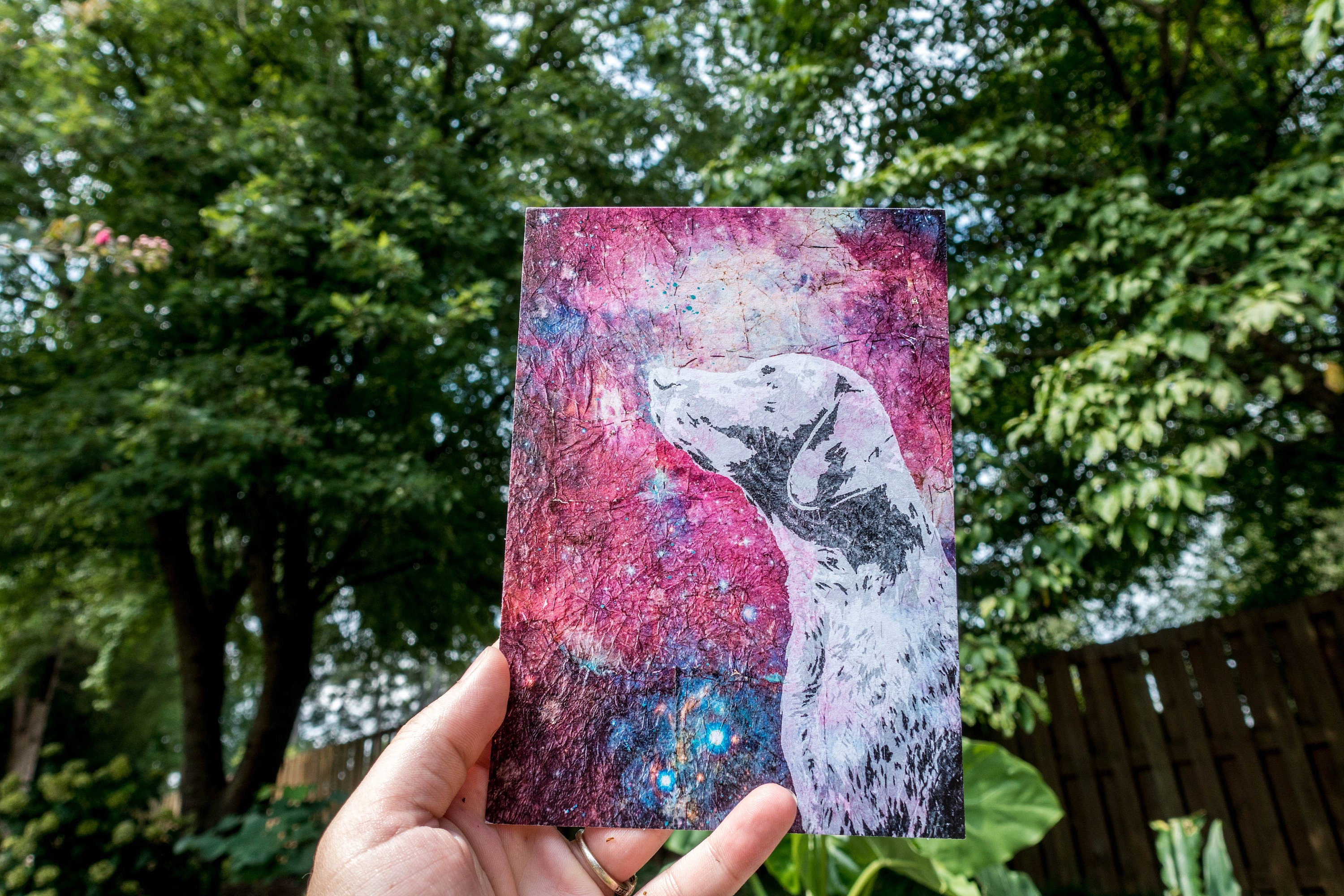 Canes Venatici Art Print 5 X 7 Inches - Etsy