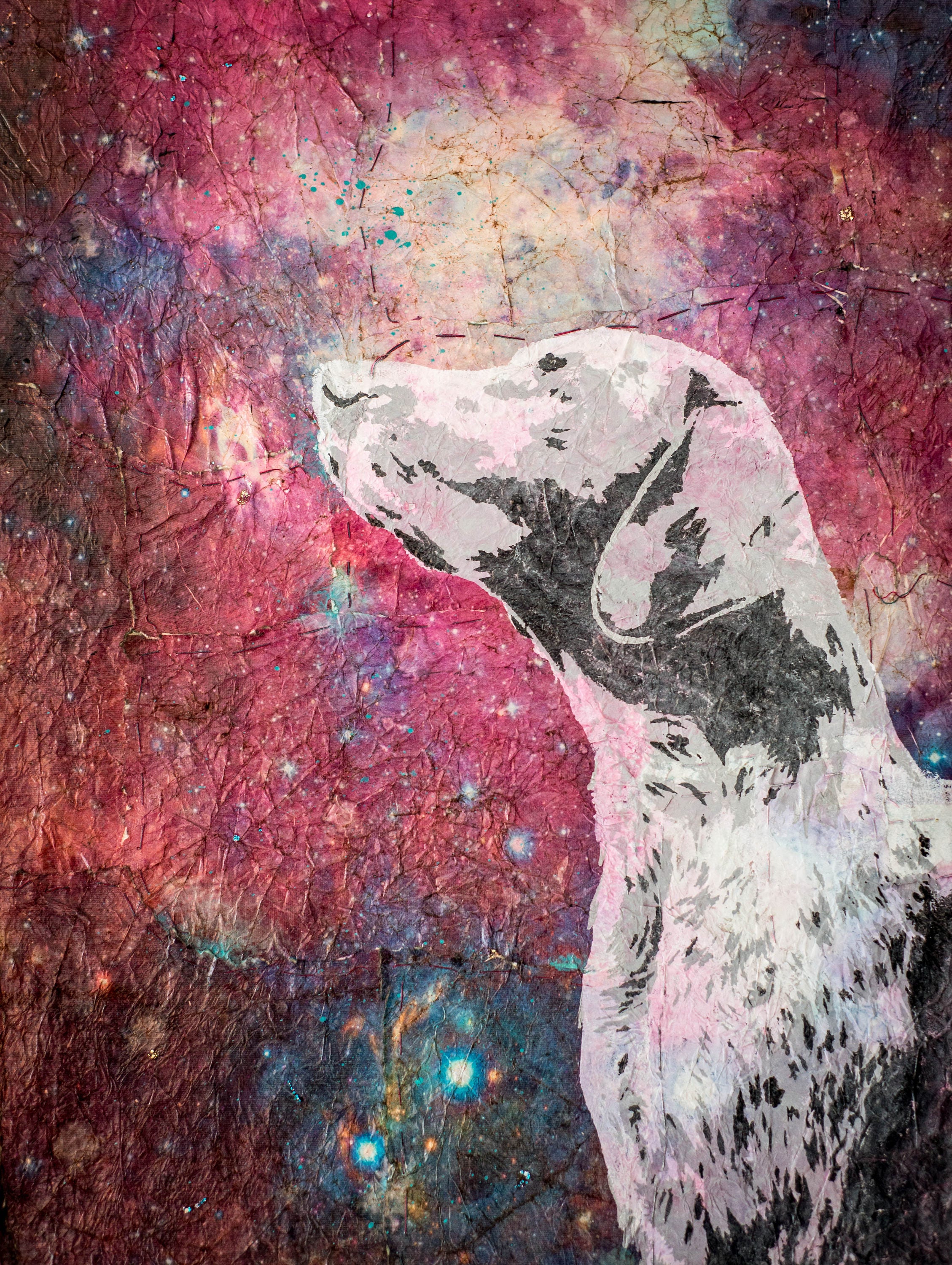 Canes Venatici Art Print 5 X 7 Inches - Etsy