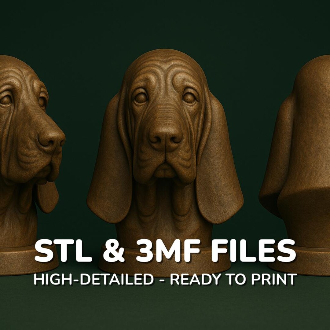 Basset Hound Bust - 3D Printable Dog Model (STL & 3MF File) - Etsy