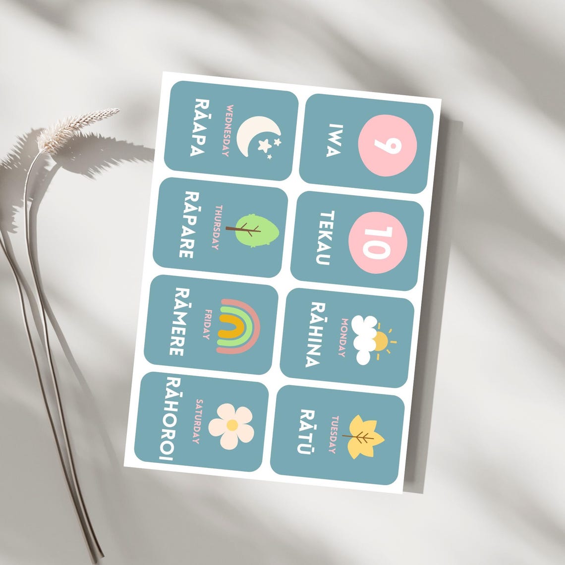 Te Reo Māori Flash Cards – Numbers, Days of the Week & Colours ...