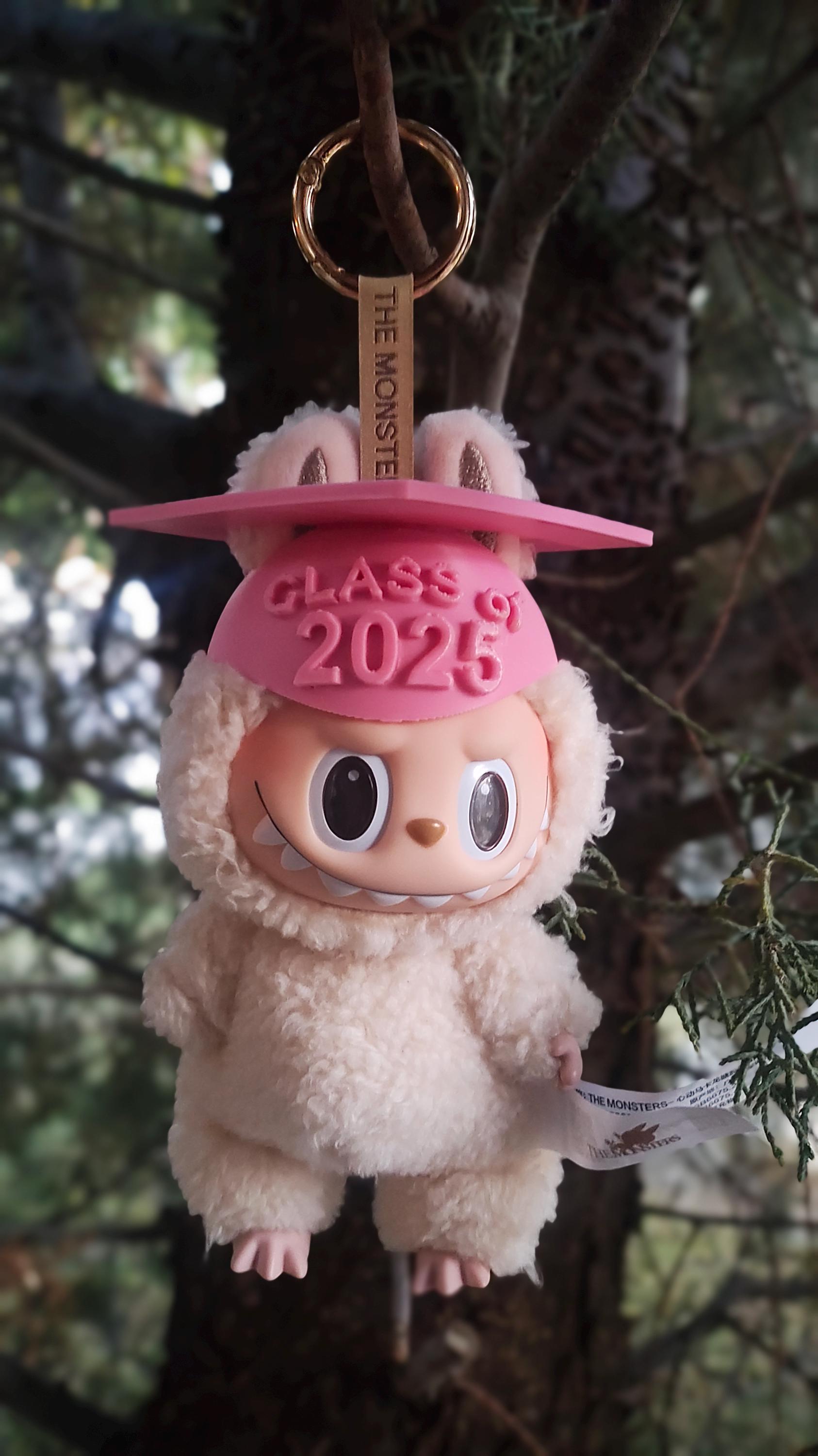 Labubu Graduation Cap - Etsy