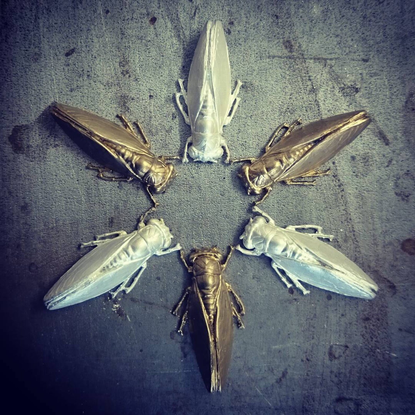 Cicada Pin Tie Pin Tie Tack Lapel Pin Cicada Brooch - Etsy
