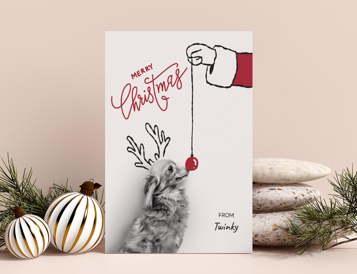 Custom Dog Christmas Card From Photo, Personalize Pet Xmas Holiday Card ...