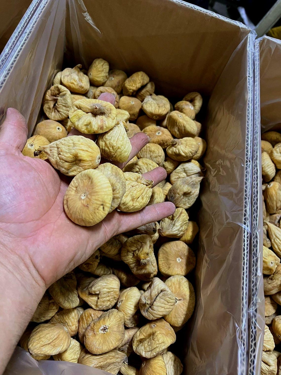 900 G Organic Turkish Dried Figs Jumbo Size Natural Vegan Snack - Etsy