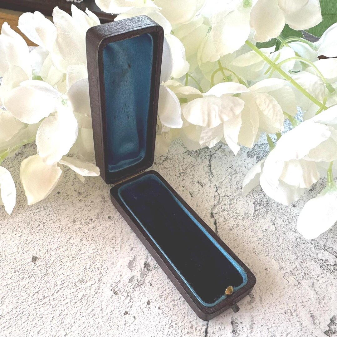 Antique Maroon & Blue Leather Stick Pin Box: Victorian Coffin Shaped ...