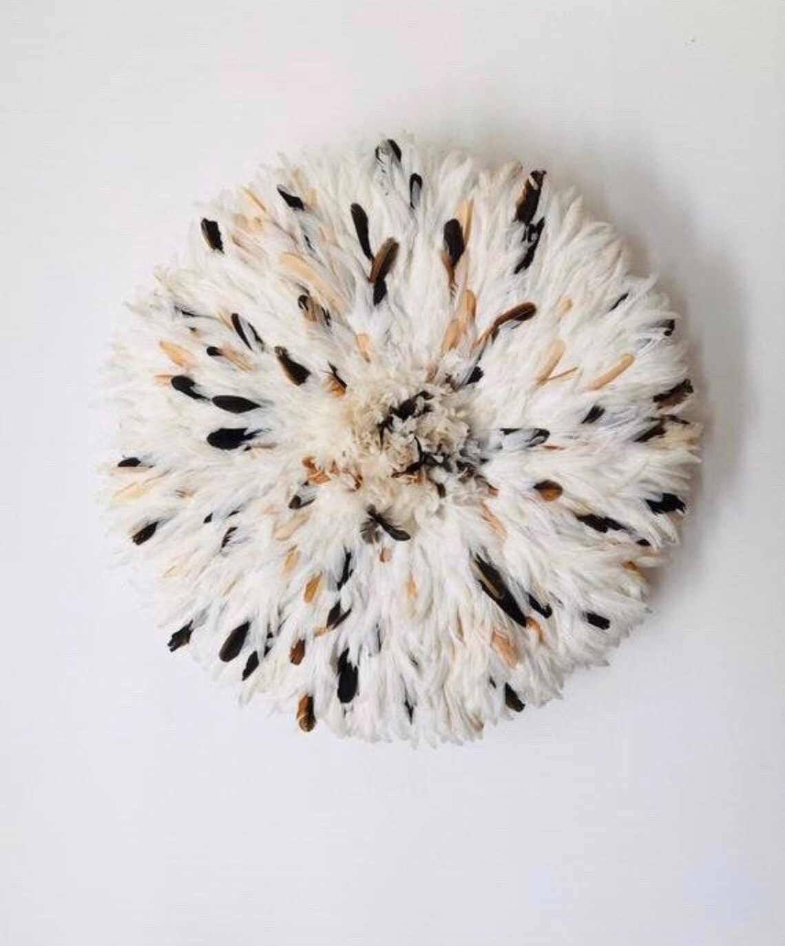 Authentic Bird Feather Wall Nut in a Set of 4 - Etsy