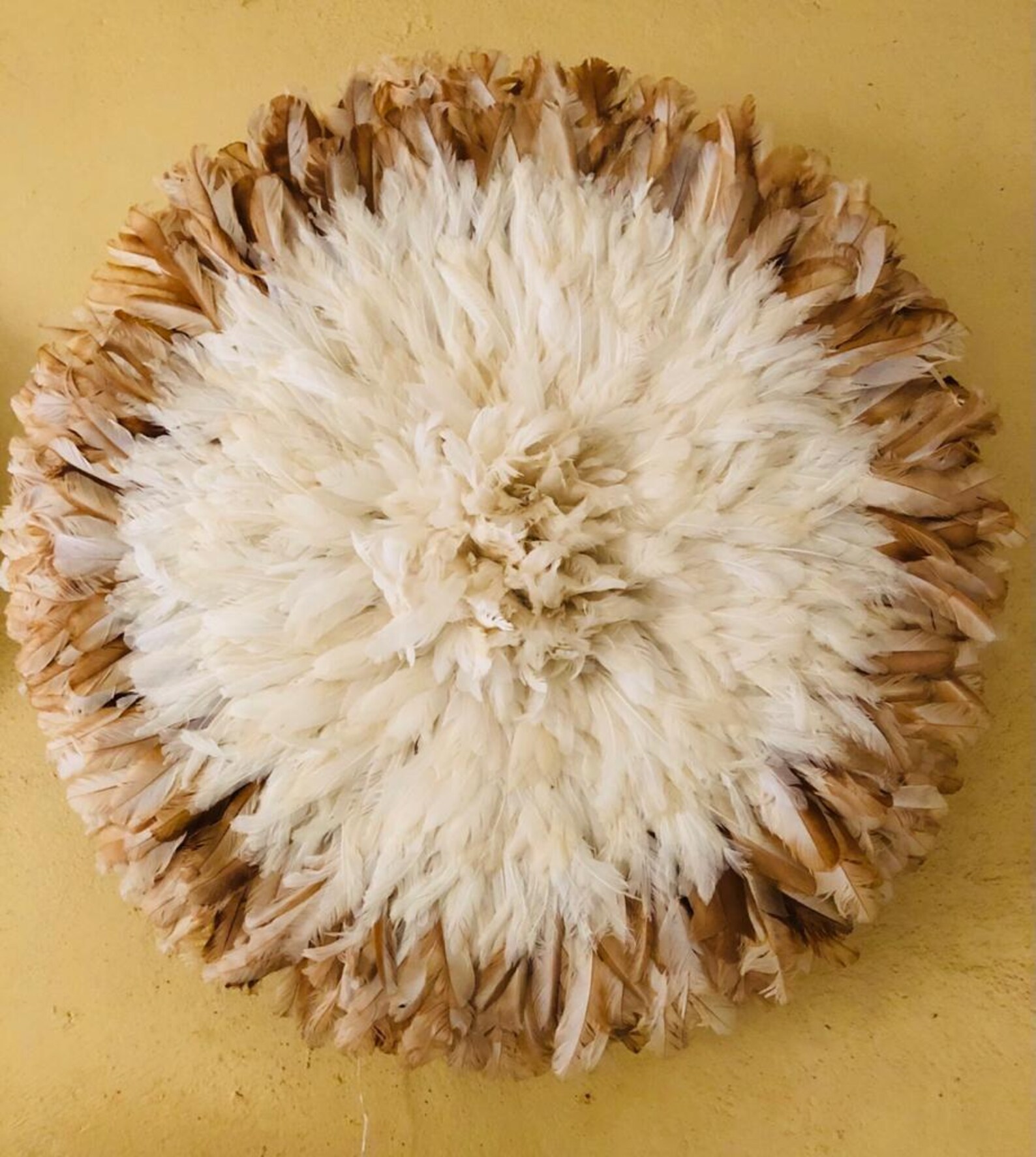 Authentic Bird Feather Wall Nut in a Set of 4 - Etsy