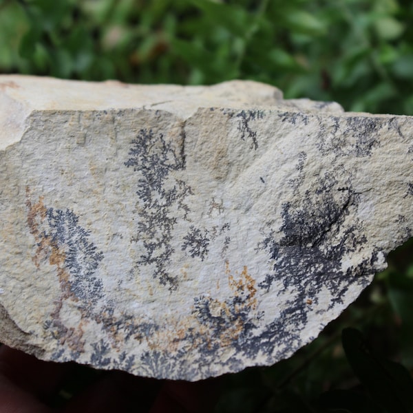 Dendrite Stone - Etsy