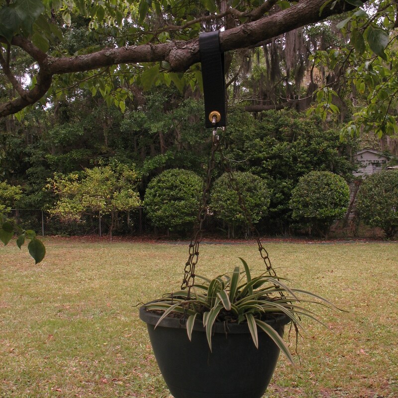 Tree Branch Hanger - Etsy