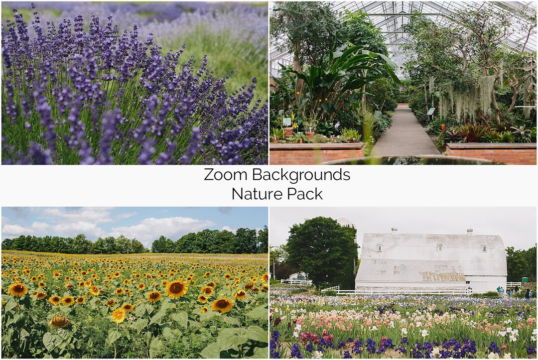 Zoom Backgrounds-nature Pack-real Backgrounds for Your Zoom Calls ...