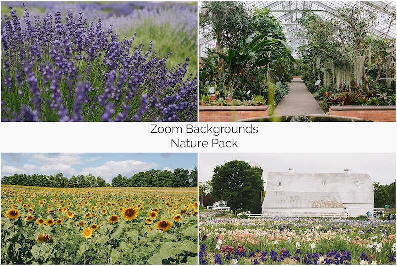 Zoom Backgrounds-nature Pack-real Backgrounds for Your Zoom Calls ...