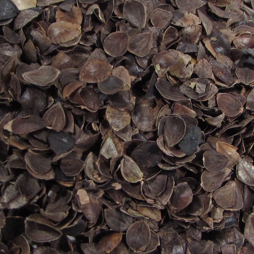 Medium Grade Buckwheat Hulls-1 Lb. Bag - Etsy