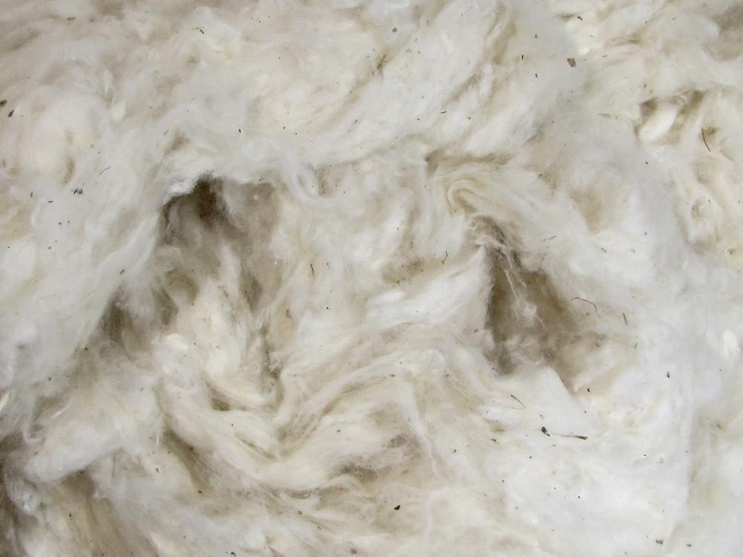 Organic Cotton, Raw Fiber, 100% Organic, Grown in USA - Etsy