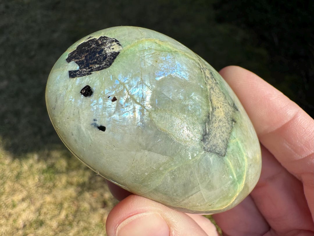 Garnierite Palm Stone With Blue Flash #1 Green Moonstone Crystal Palm ...