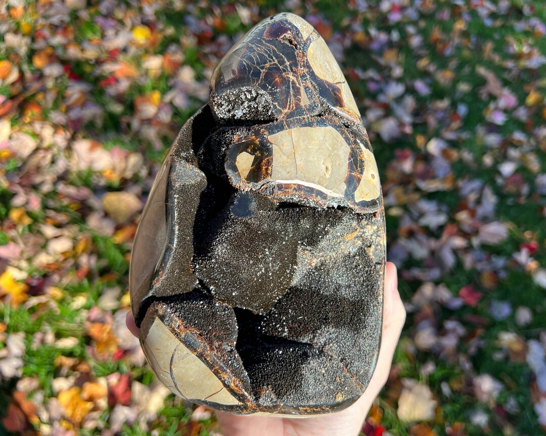 7.5" Septarian Egg With Barite, Septarian Nodule, Self Standing ...