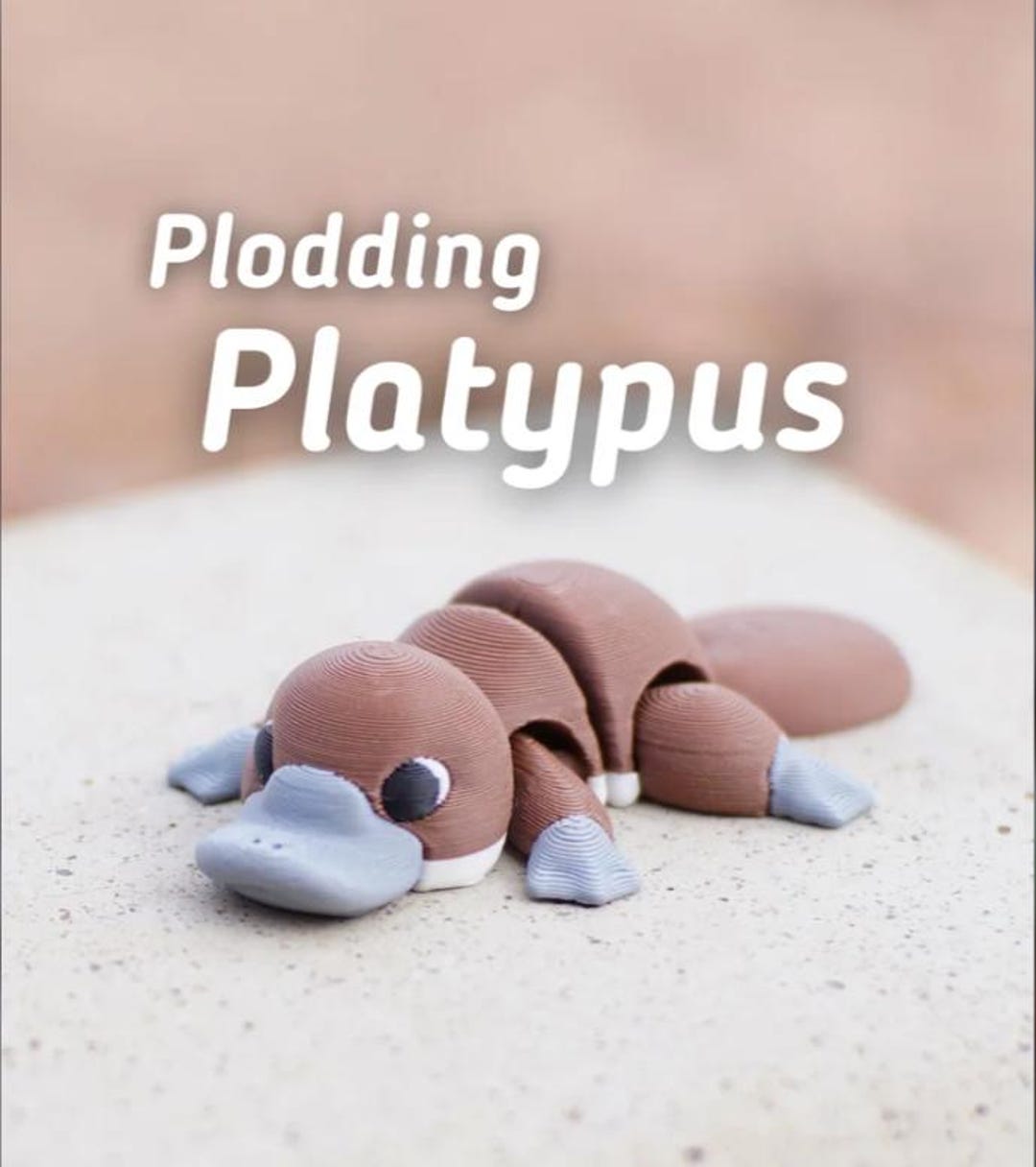 Articulated Platypus Toy 3D Printed | Educational Animal Fidget for ...