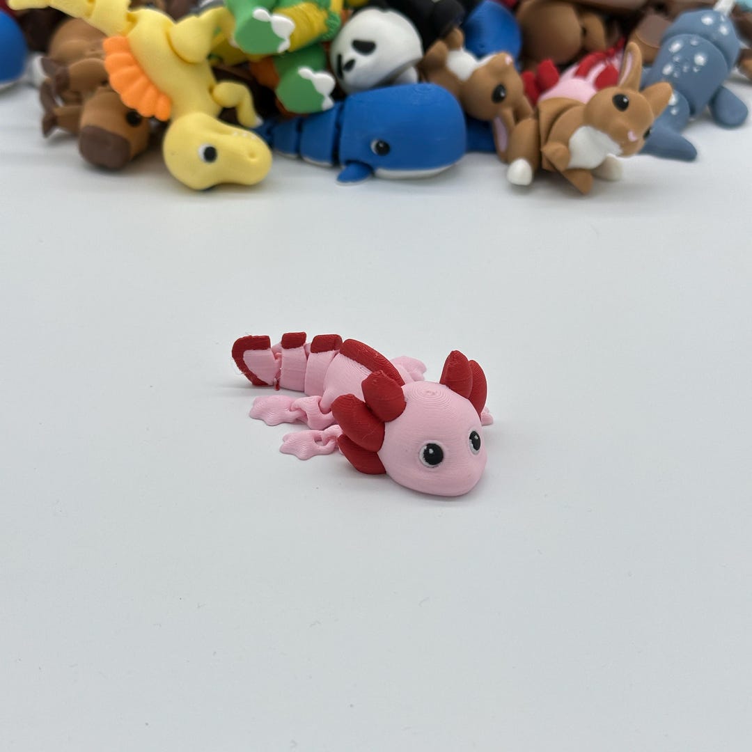 3D Printed Articulated Axolotl Toy: Aquatic Fidget, Educational STEM - Etsy
