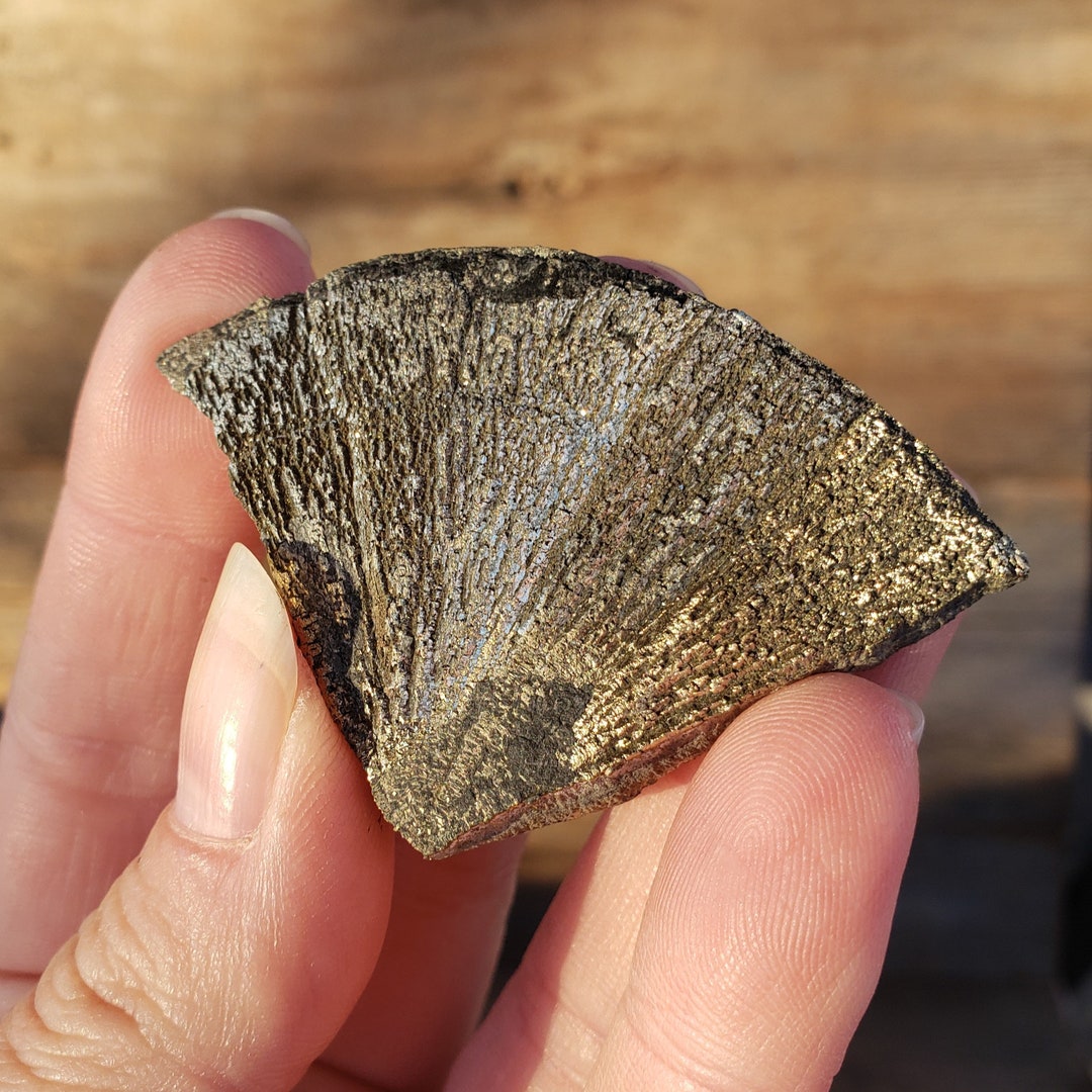 Pyrite Sun: RARE Limited Stock 32 Gram Partial Round Flat Sparkling ...