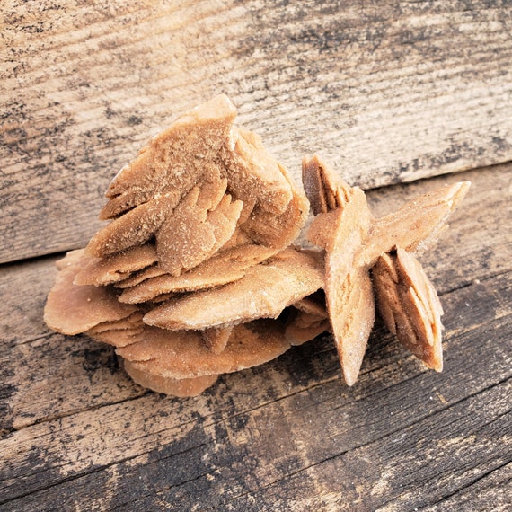 Bladed Barite Rose: Large Sandy Beige Barite Rose Cluster 275 - Etsy