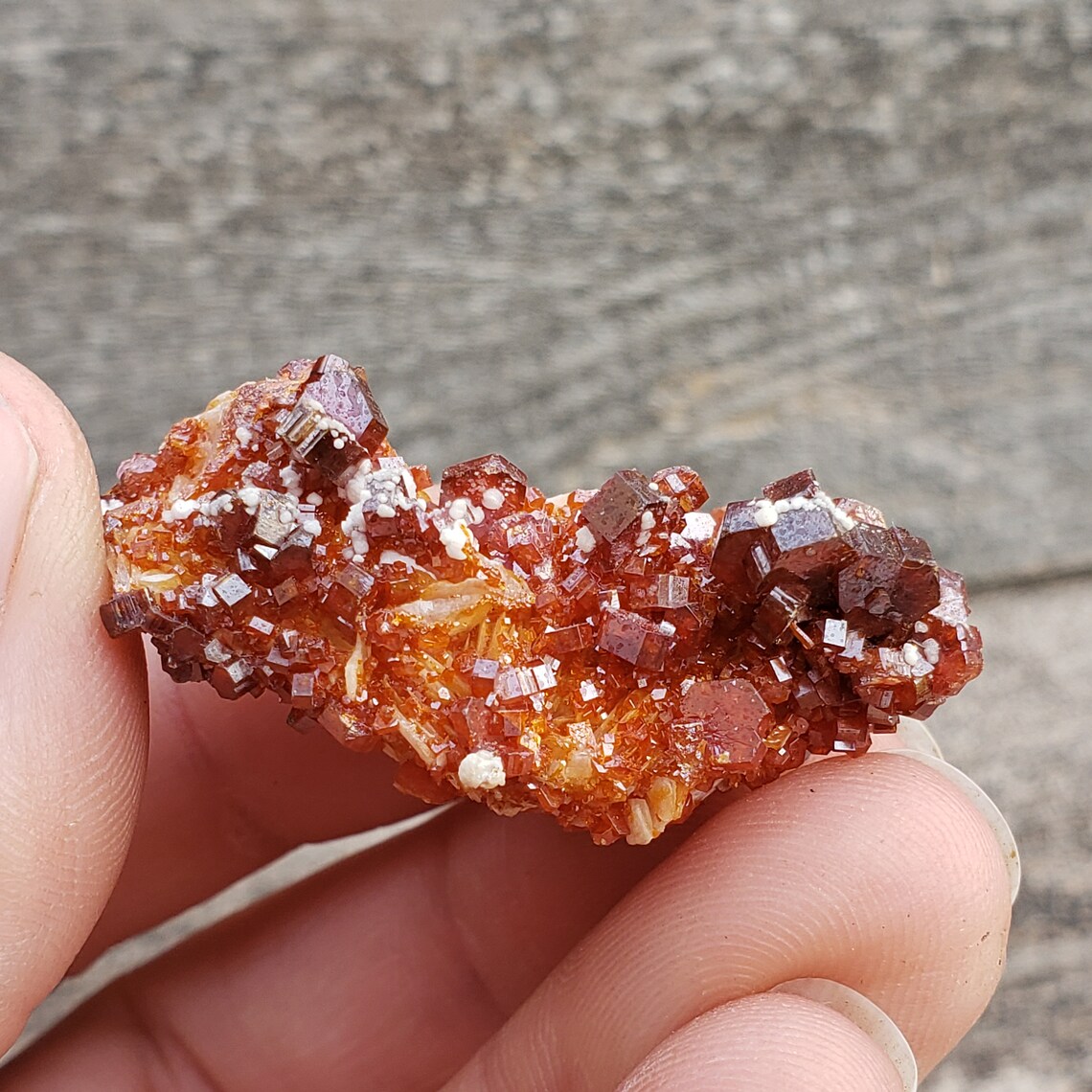 Vanadinite Gems: 28 Grams Gallery Collector High Quality Red - Etsy UK