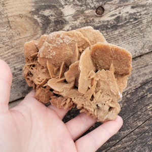 Bladed Barite Rose: Large Sandy Beige Barite Rose Cluster 439 Grams ...