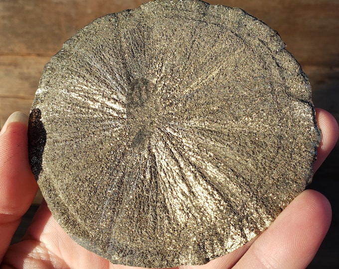 Pyrite Sun: RARE Limited Stock 189 Gram Round Flat Sparkling Pyrite ...