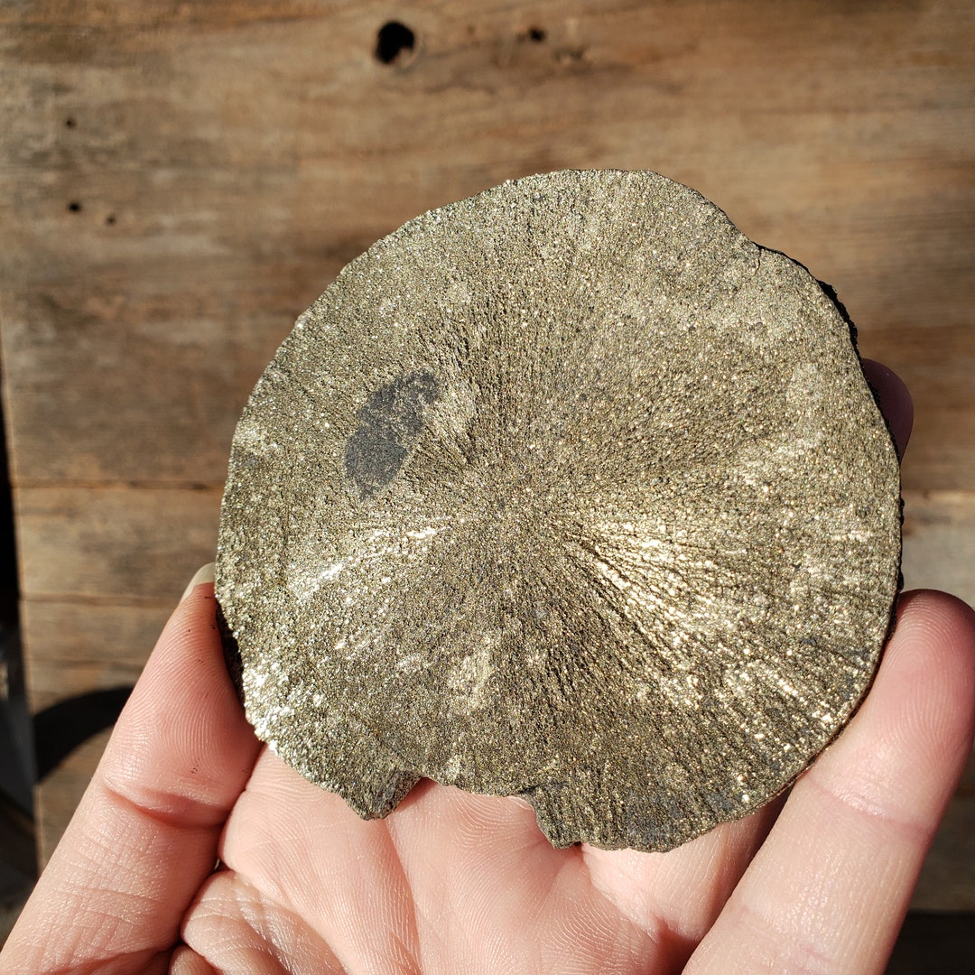 Pyrite Sun: RARE Limited Stock 159 Gram Round Flat Sparkling Pyrite ...