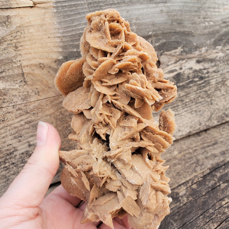 Bladed Barite Rose: Large Sandy Beige Barite Rose Cluster 439 Grams ...